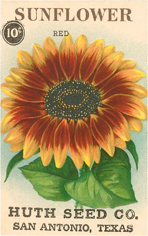 Sunflower Seed Packet Vintage Image, Gardening GD-29 – Found Image Retail